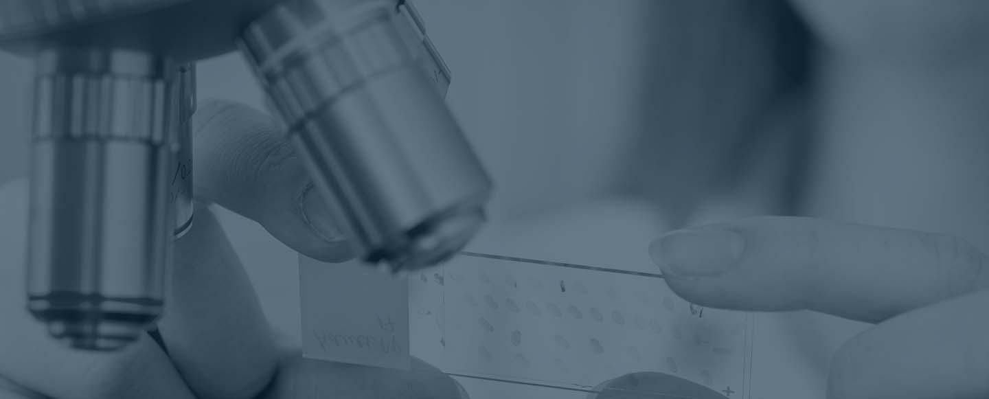 Biospectroscopy & Imaging - Lambda-X | Verhaert High-Tech